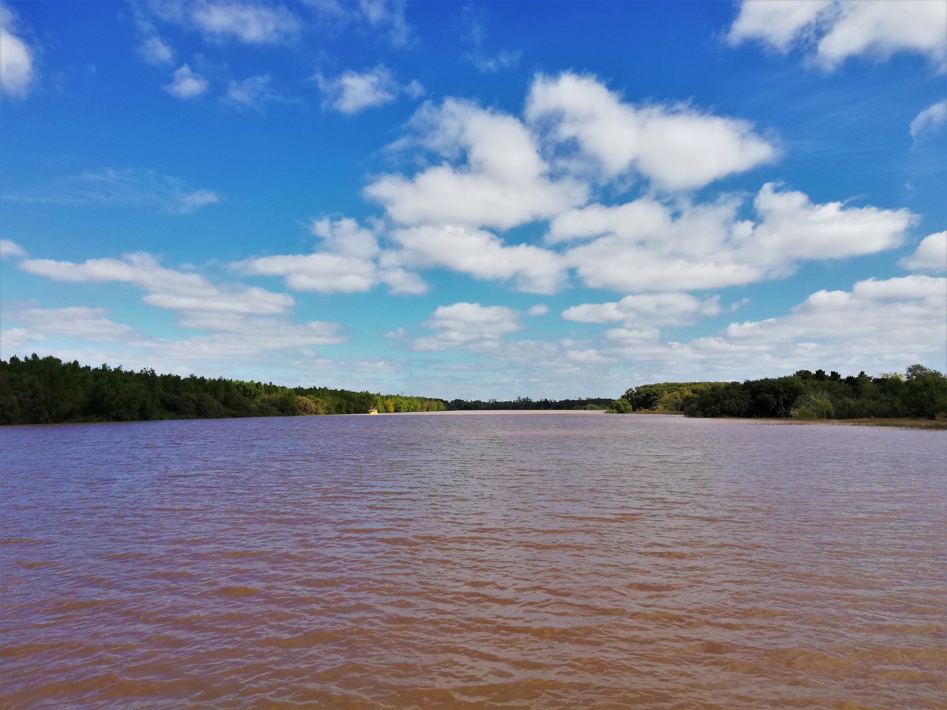 Paseo por el Delta del Tigre - desde Buenos Aires Argentina