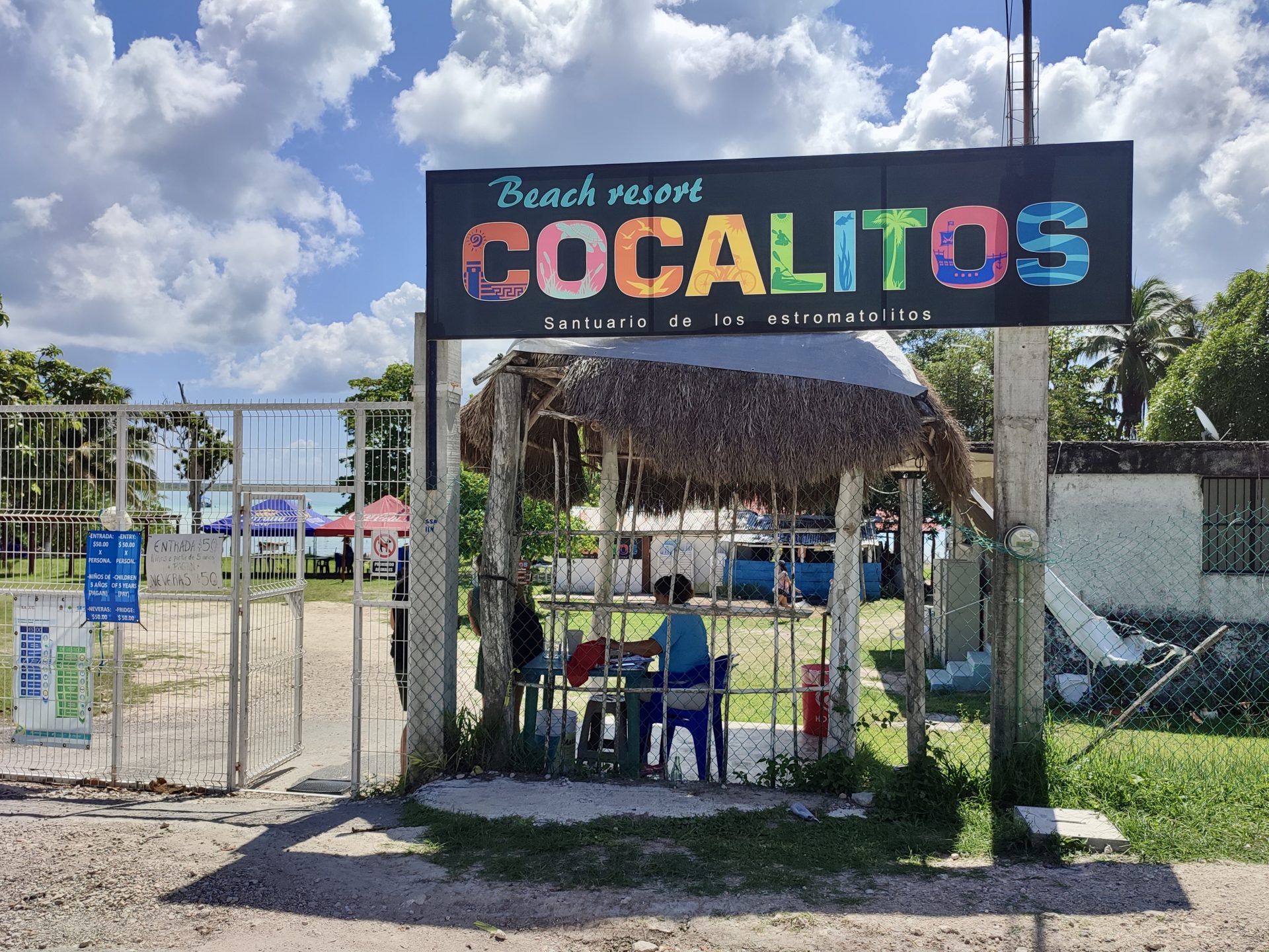Qué hacer en Cenote Cocalitos, el Santuario de los Estromatolitos