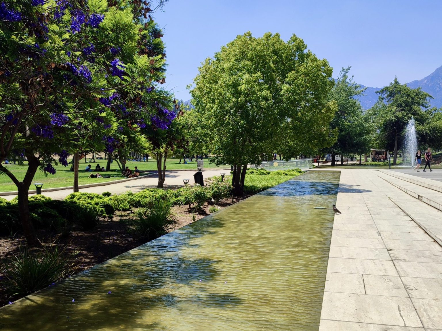 Parque Bicentenario de Vitacura: cómo llegar y qué hacer