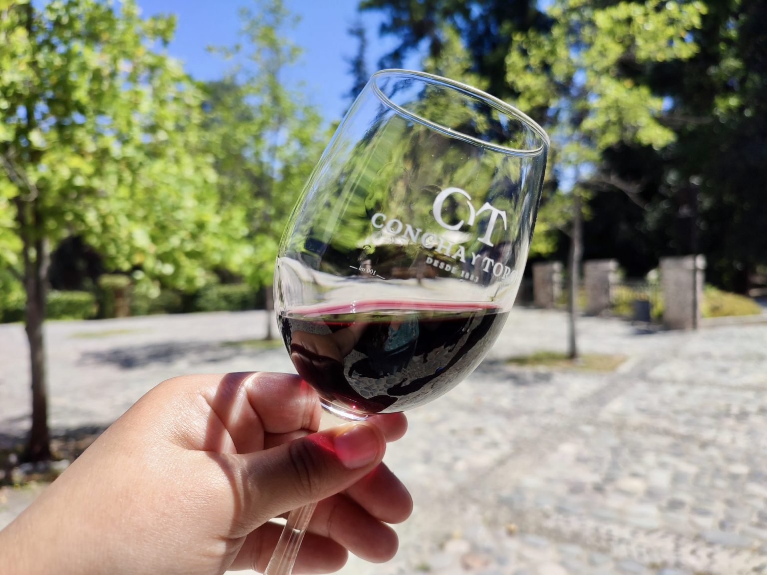 Viña Concha y Toro en Pirque: cómo llegar y qué ver